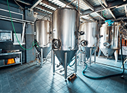 Ethanol Blending Program - Praj Industries